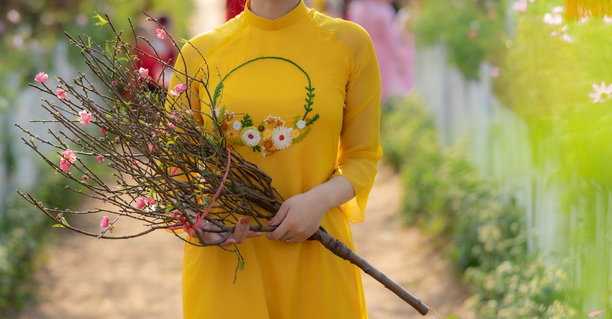 ⏺ ¿Cuánto cuesta un servicio SEO en Ciudad de México? Guía Completa 2025 〘 Global Analytica